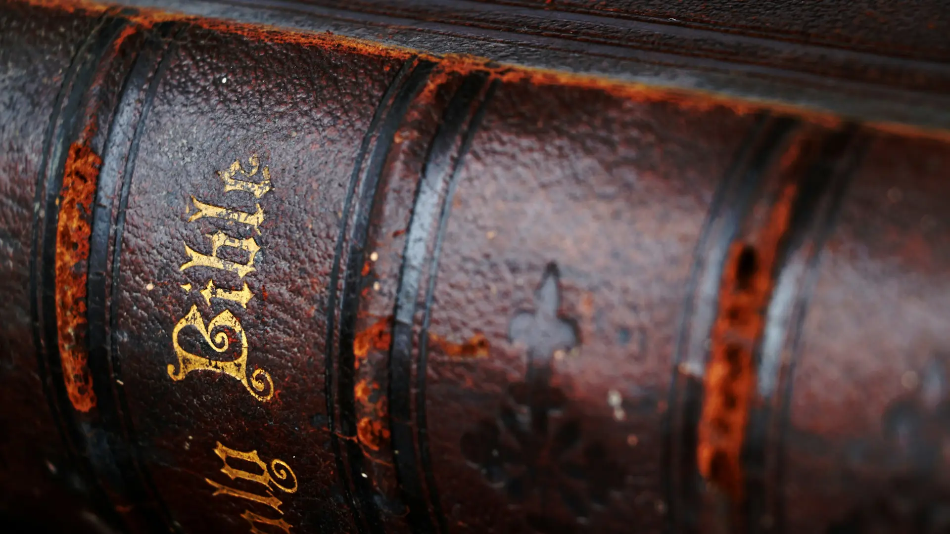 Why Your Family Needs a King James Bible | Pilgrim Baptist Church
