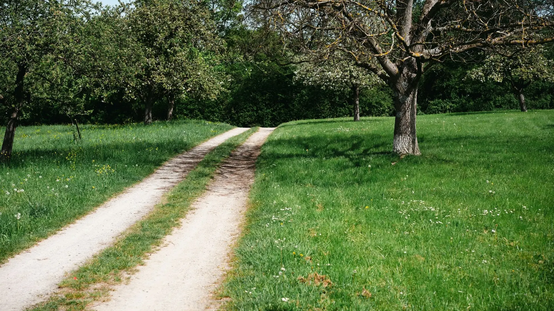 You can't serve two masters | Pilgrim Baptist Church