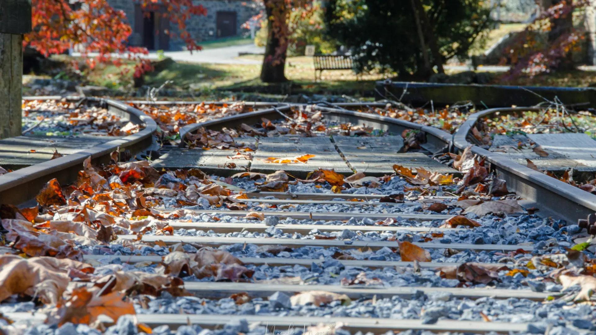 Love on His Terms, Not Yours | Pilgrim Baptist Church